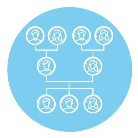 Diabetes Risk Factors — DAP+