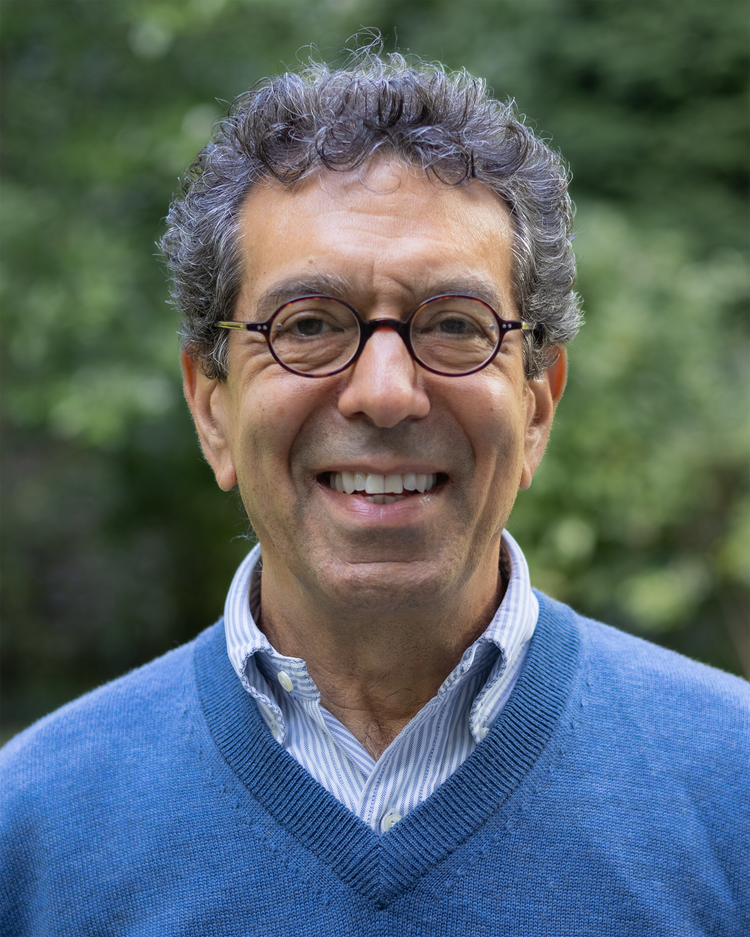 Charles L. Glaser