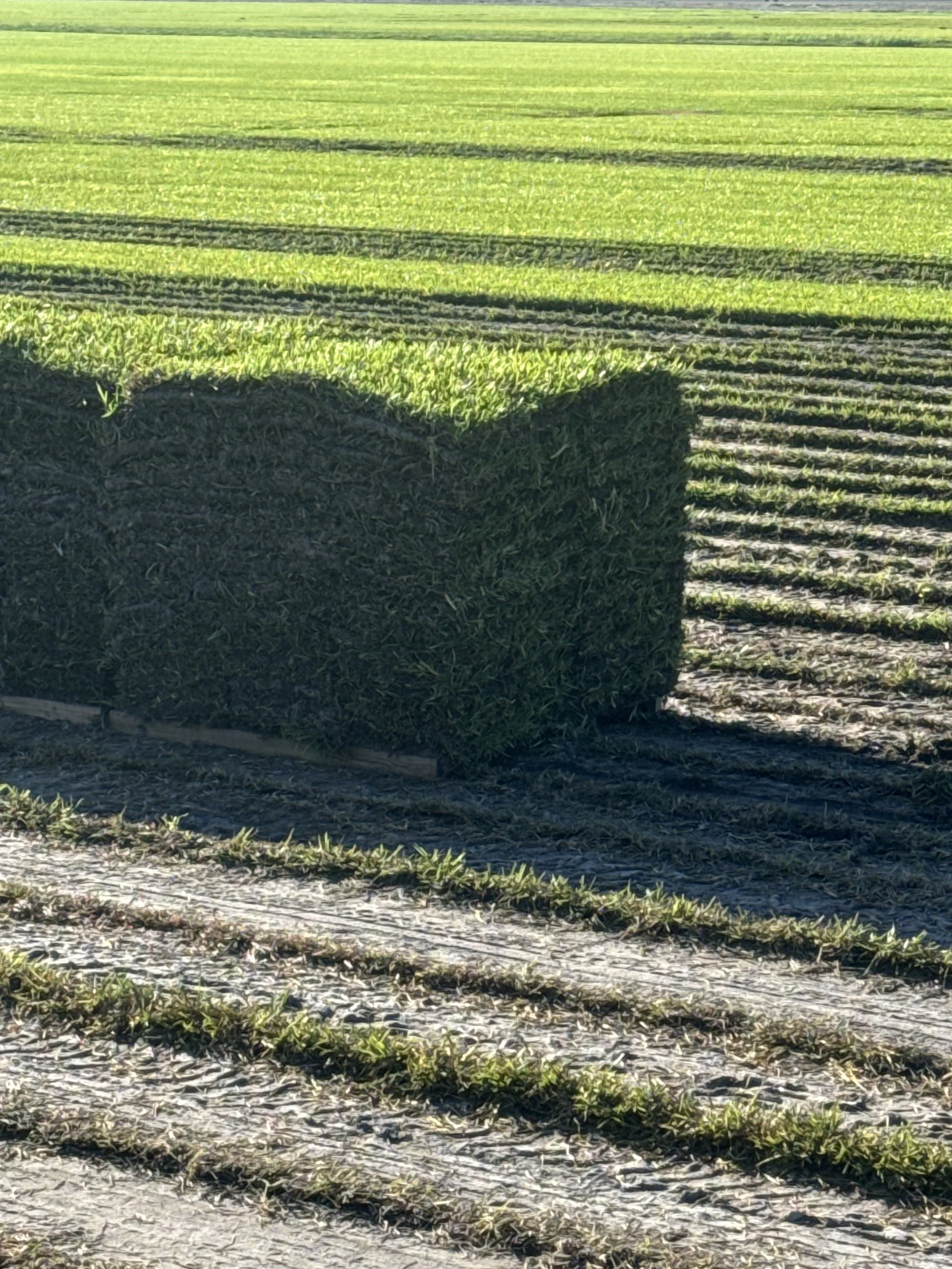 Sod Masters Farm Fresh Sod