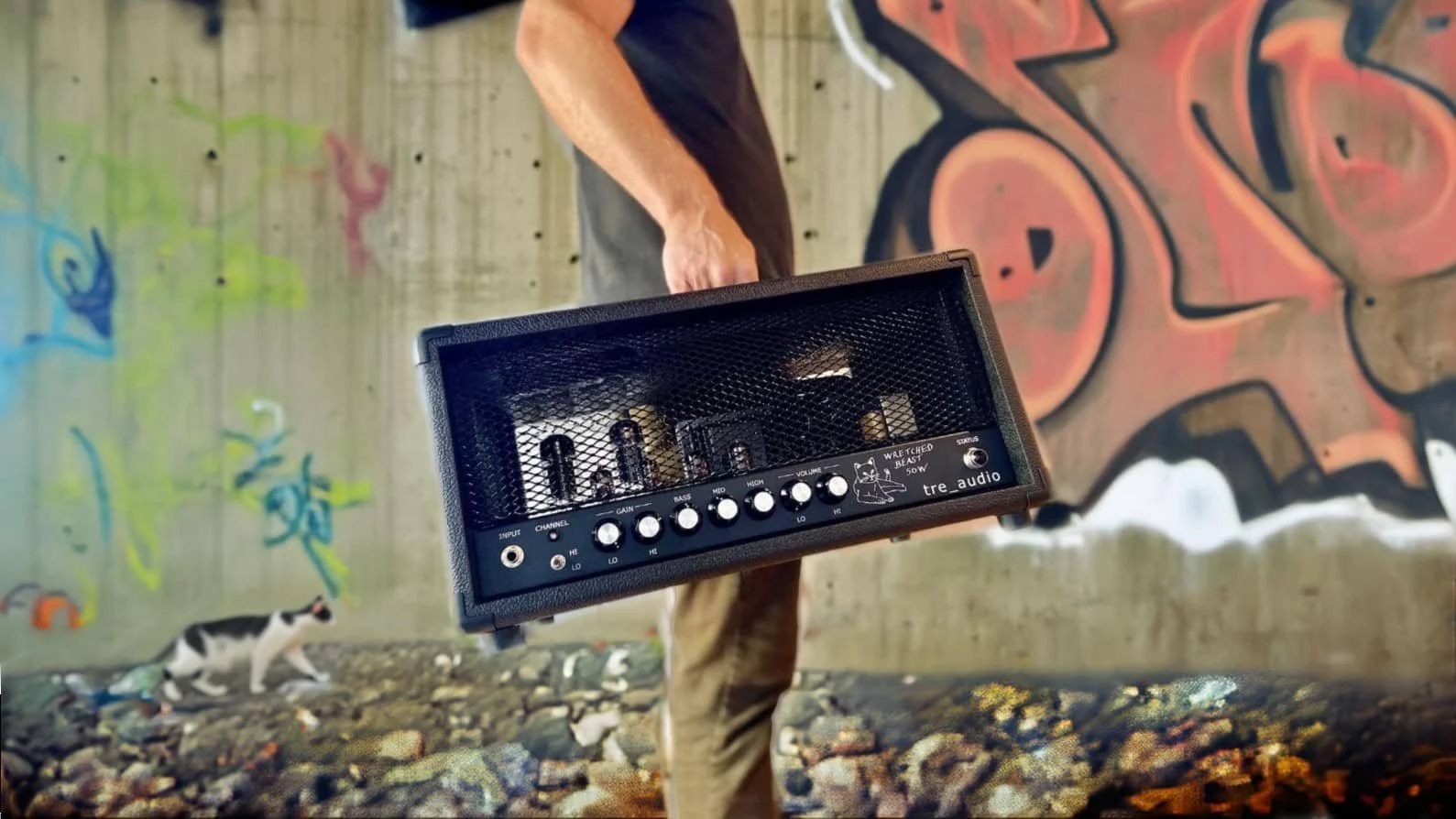 The Wretched Beast 50-Watt Guitar Amplifier — tre_audio