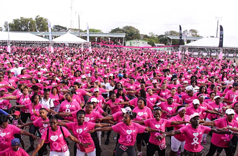 Let’s Walk/Run in Pink! — Pinktober Site