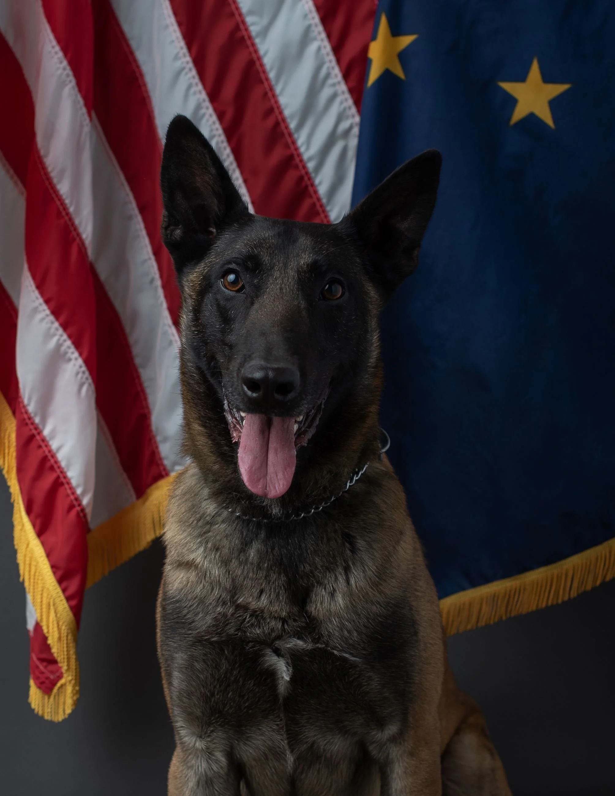 Canine Units — City of Anderson Police