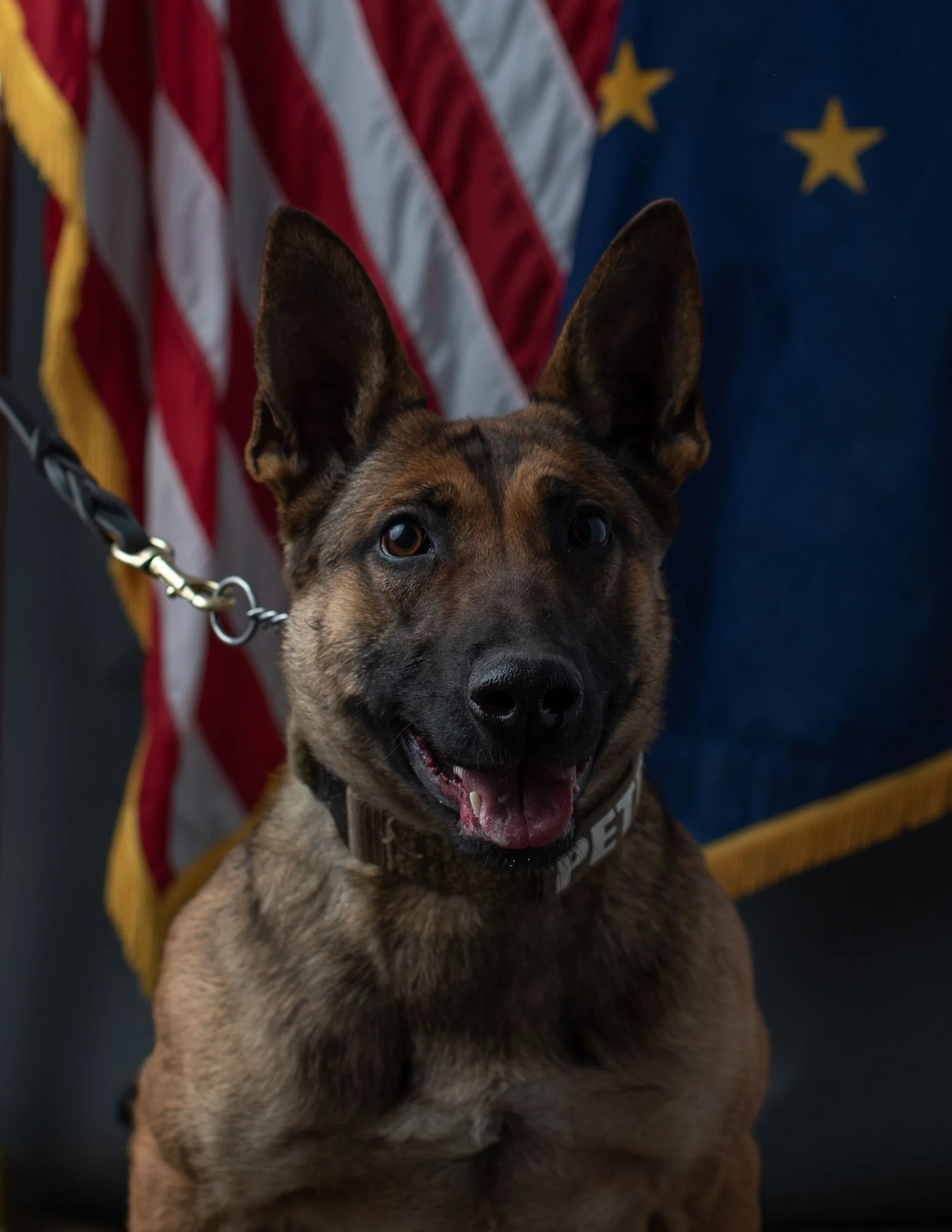 Canine Units — City of Anderson Police