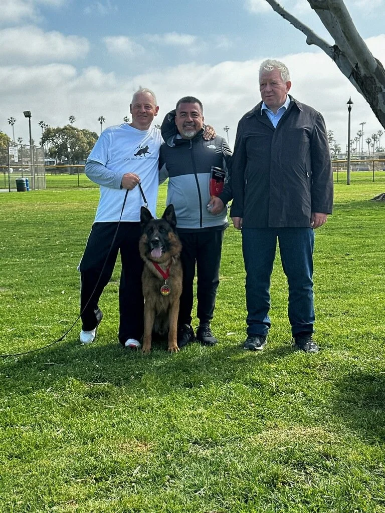 Puppies — Prigge Farm German Shepherds