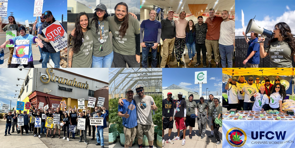 Organize — UFCW Local 7