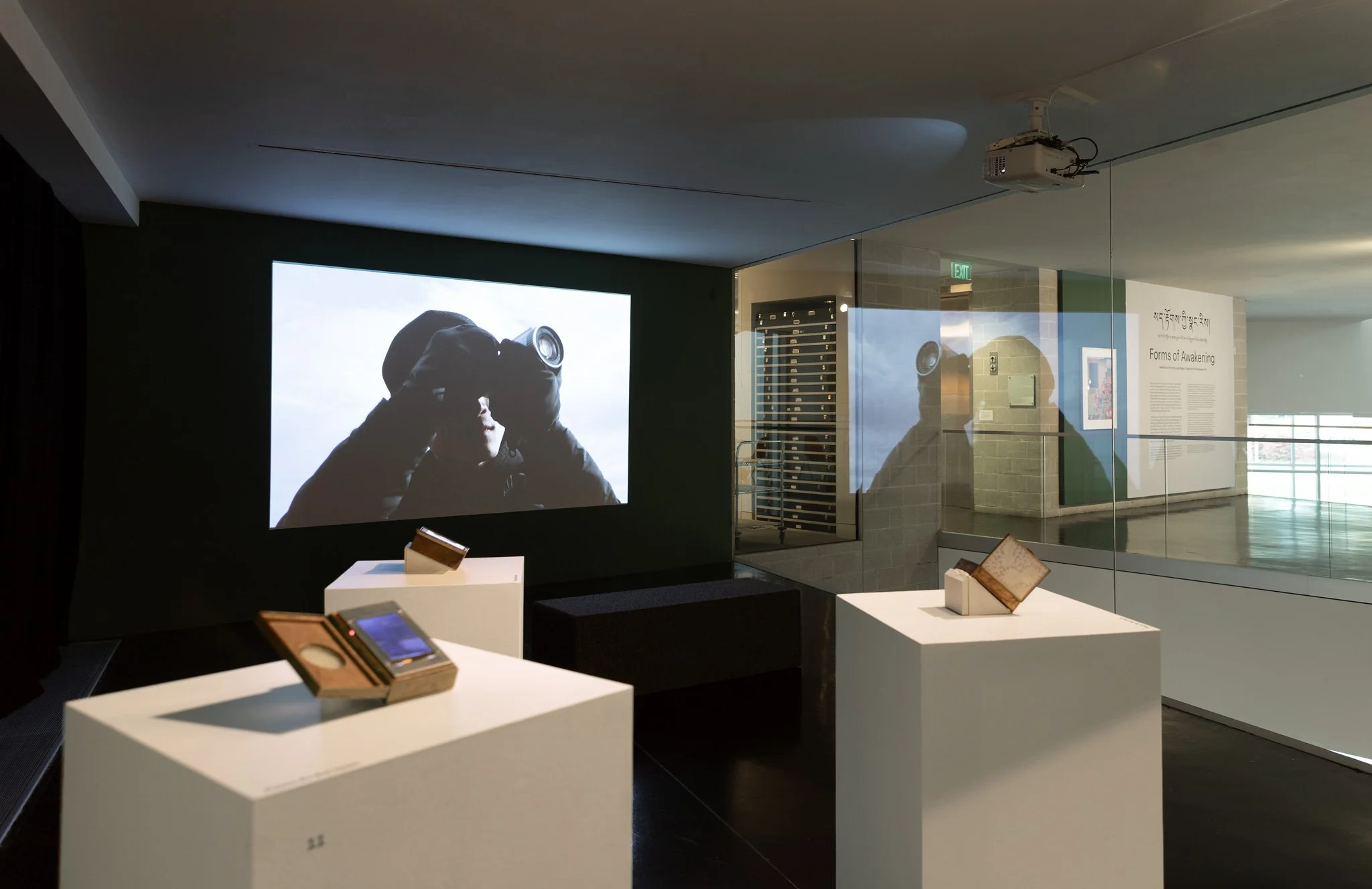 Forms of Awakening — Ariana Maki