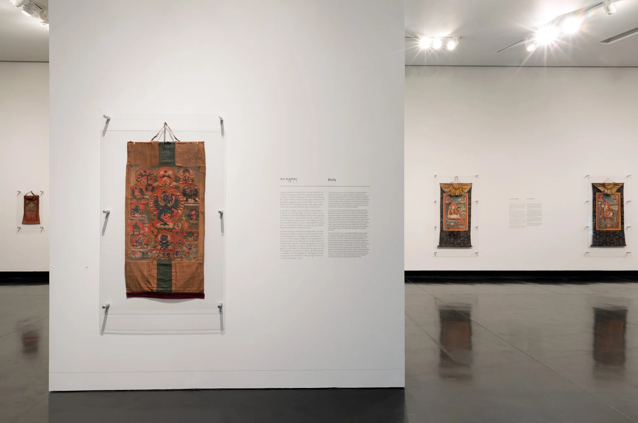 Forms of Awakening — Ariana Maki