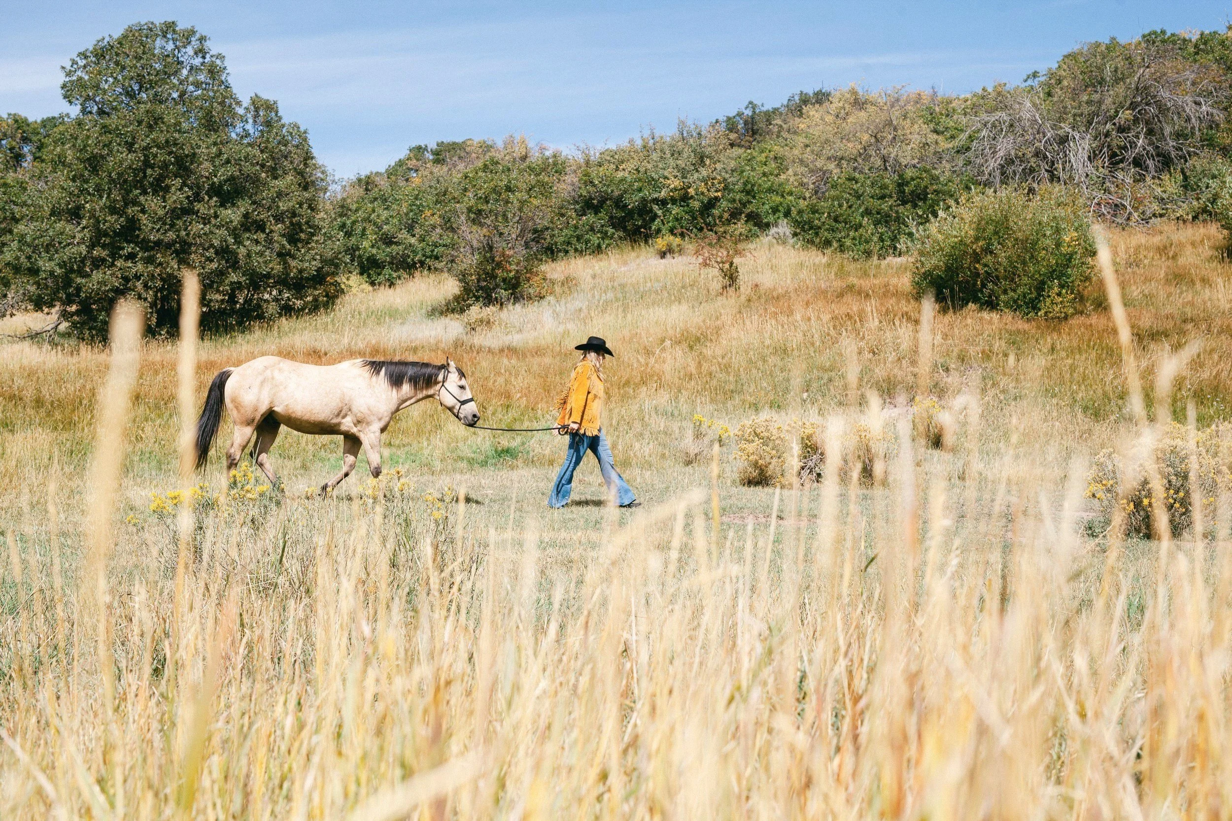 The Hello Co. - Branding + Websites for Coaches & Creatives