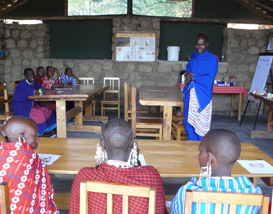 MLP — Steven Morse