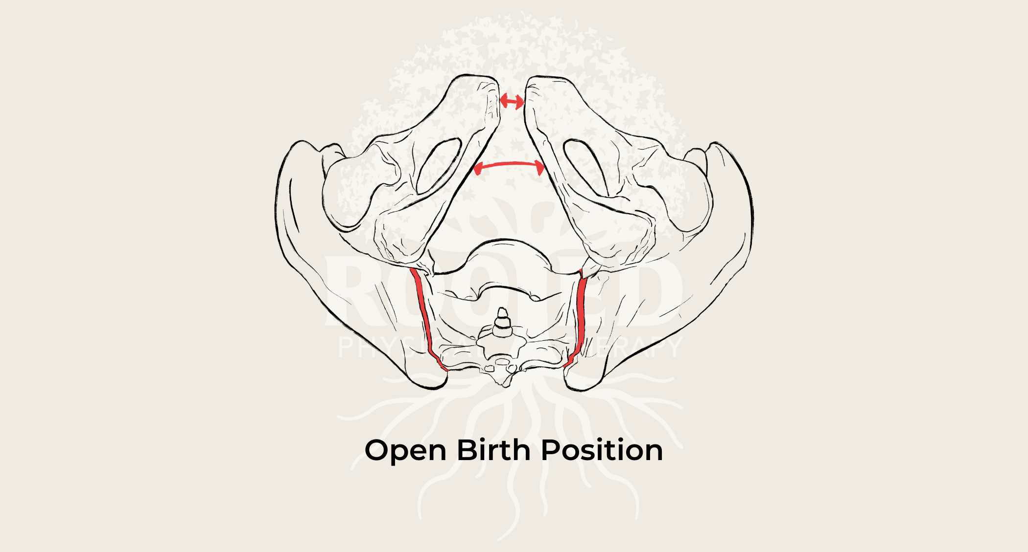 The Open Birth Position — Rooted PT