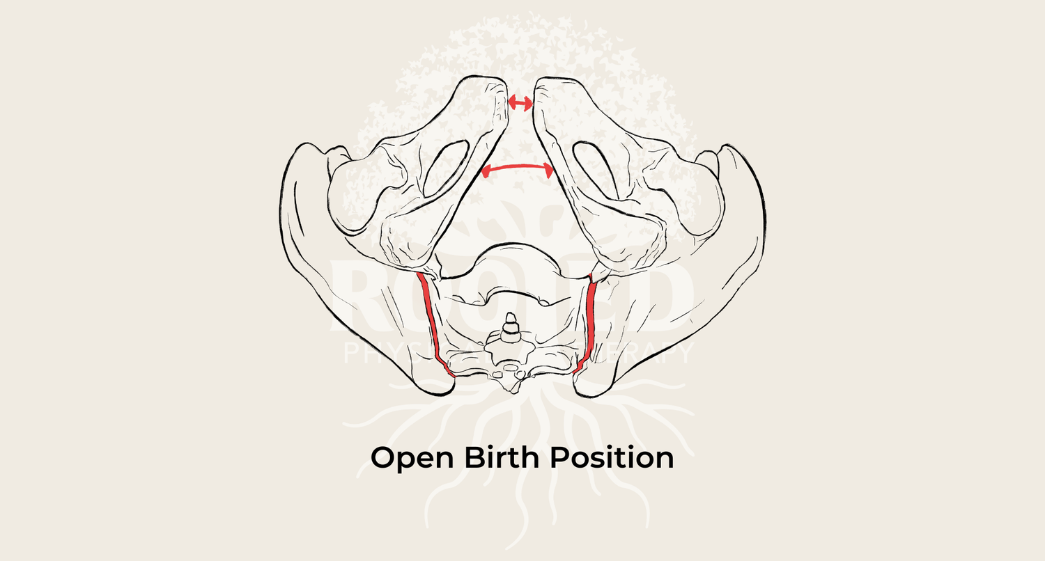 The Open Birth Position — Rooted PT