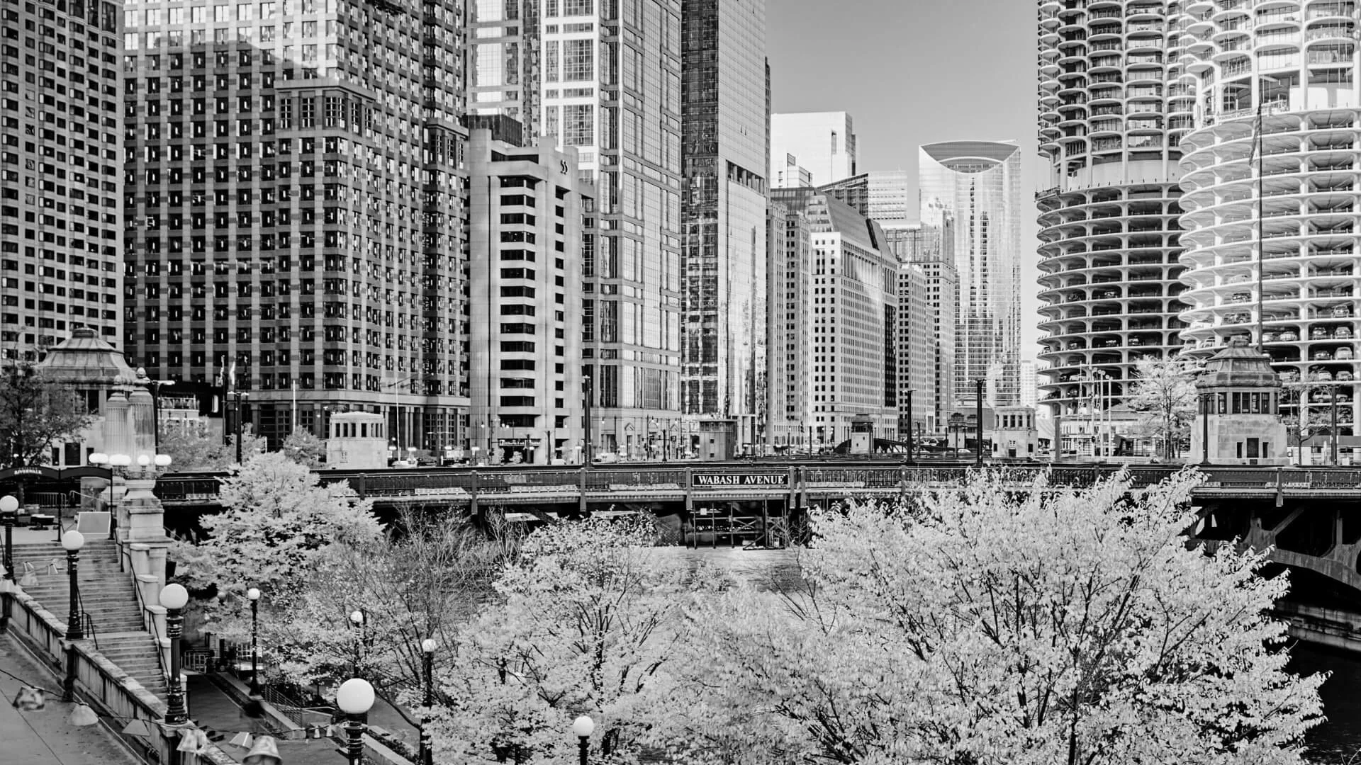 Seth Travis — Pierson Ferdinand LLP