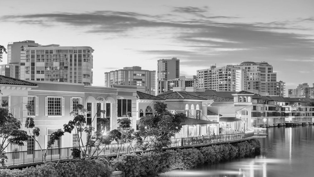 Radha V. Bachman — Pierson Ferdinand LLP