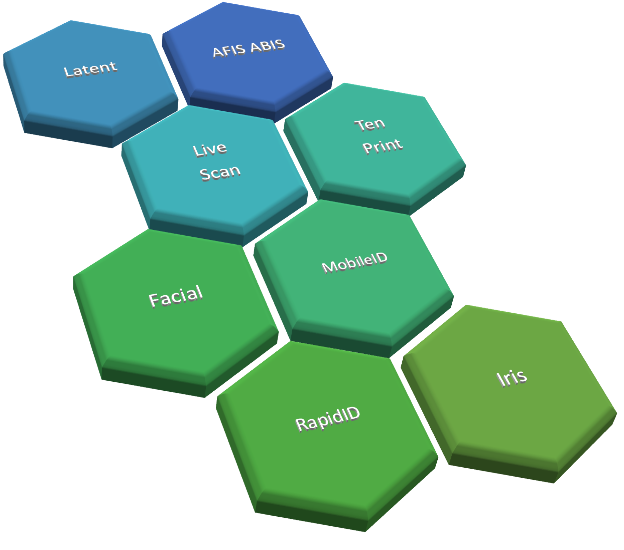 Biometrics Consulting: ABIS, AFIS, Livescan - Tenprint, Latent, Facial ...