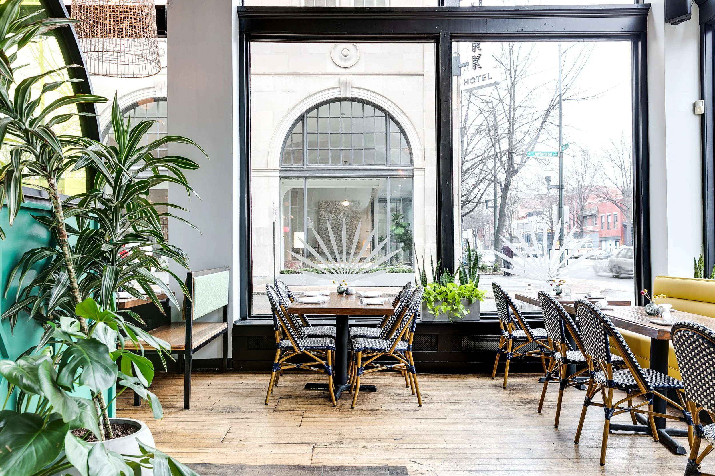 Bar Solita: A Lush Mediterranean Oasis — Campfire & Co. | Branding and ...