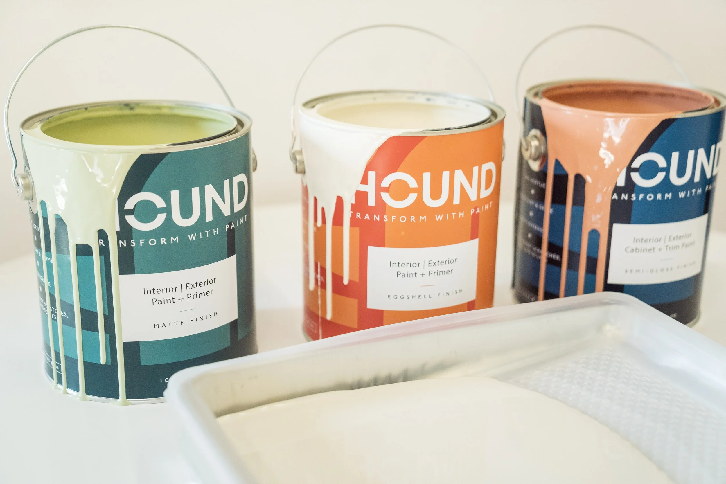 Hound Paint: A Vibrant Identity and Package for Premium Paint ...