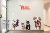Richmond Animal League — Campfire & Co. | Branding and Interior Design ...