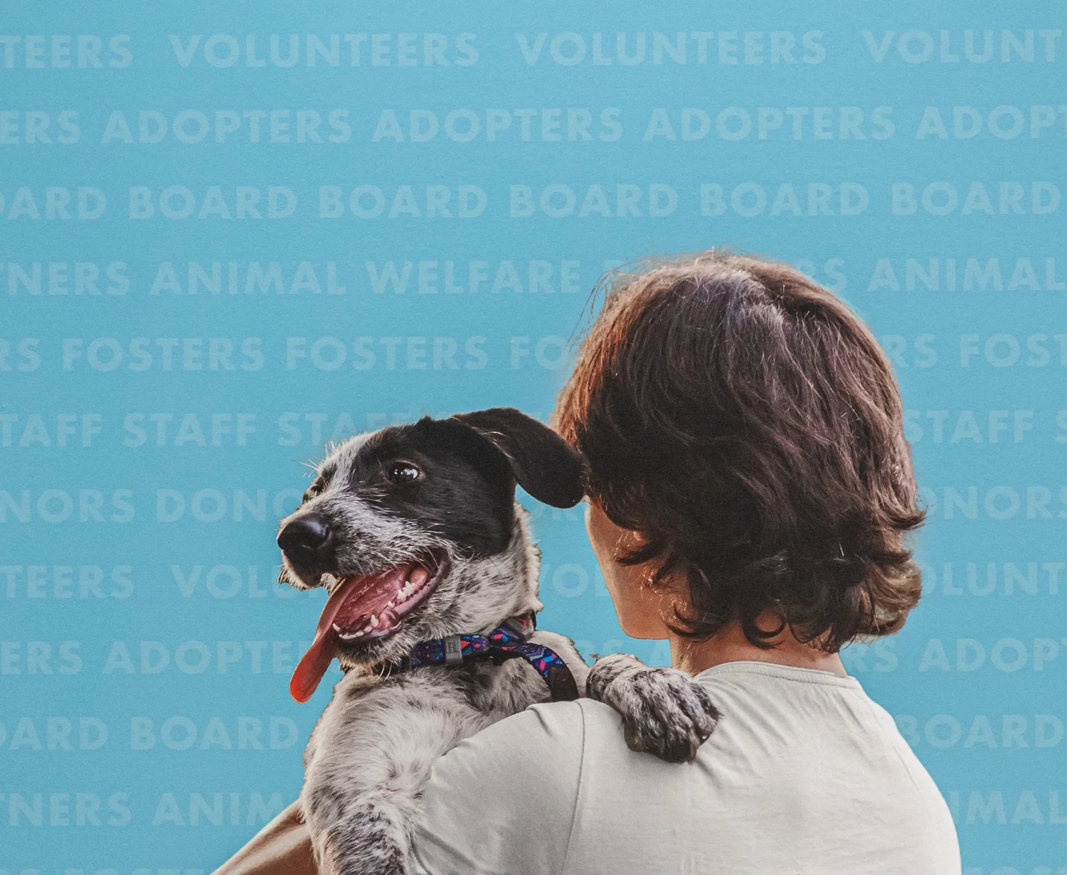 Richmond Animal League: Heartfelt Visuals for the Super Heroes of ...
