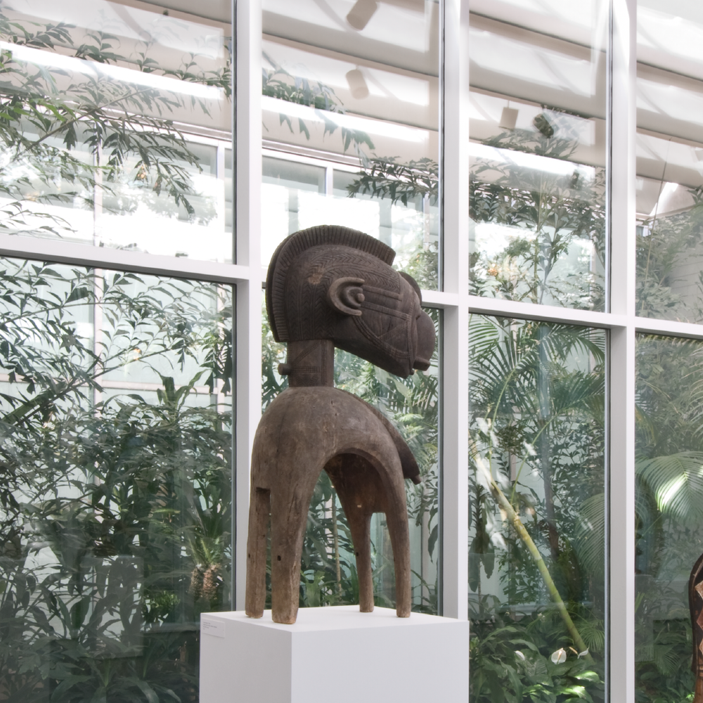 Clients — Chora Group