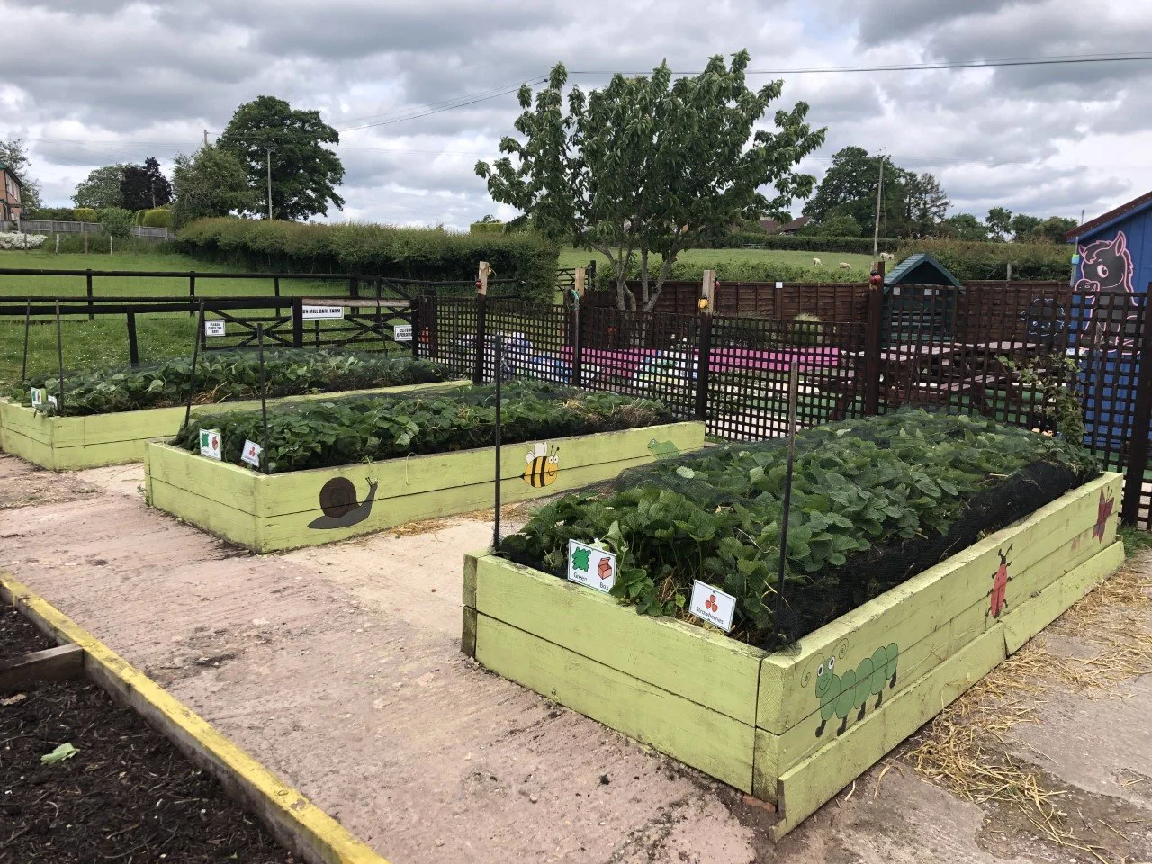 Acton Mill Care Farm