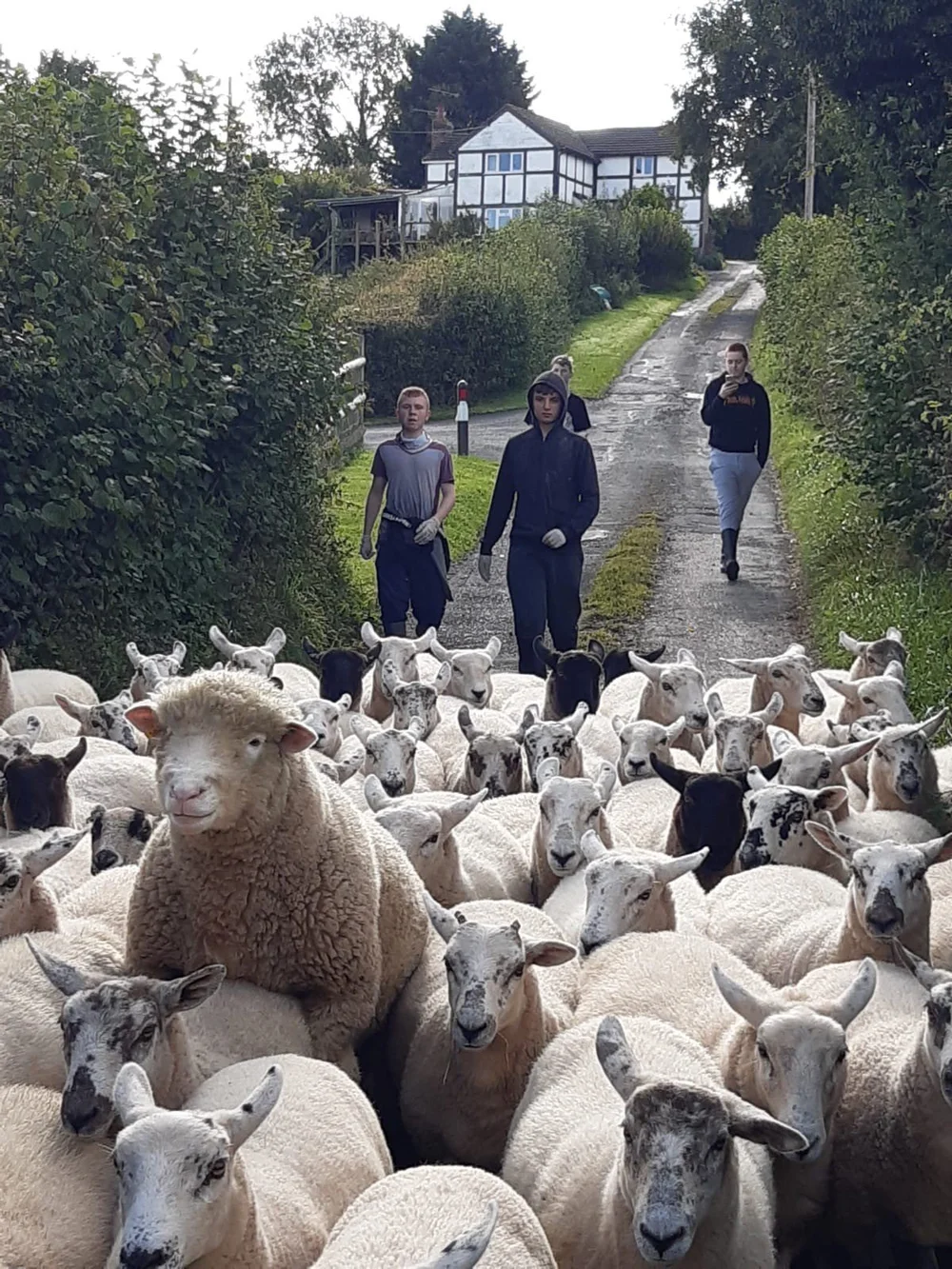 General 2 — Acton Mill Care Farm