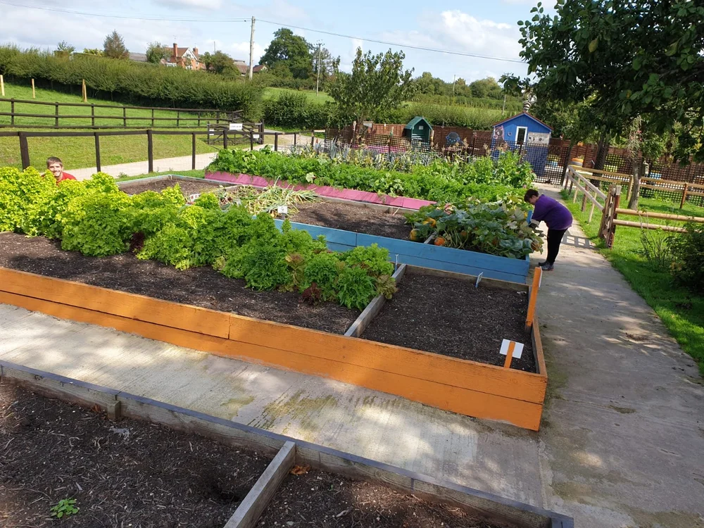 General 2 — Acton Mill Care Farm