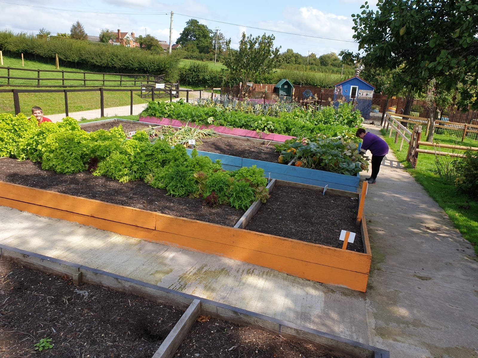 General 2 — Acton Mill Care Farm