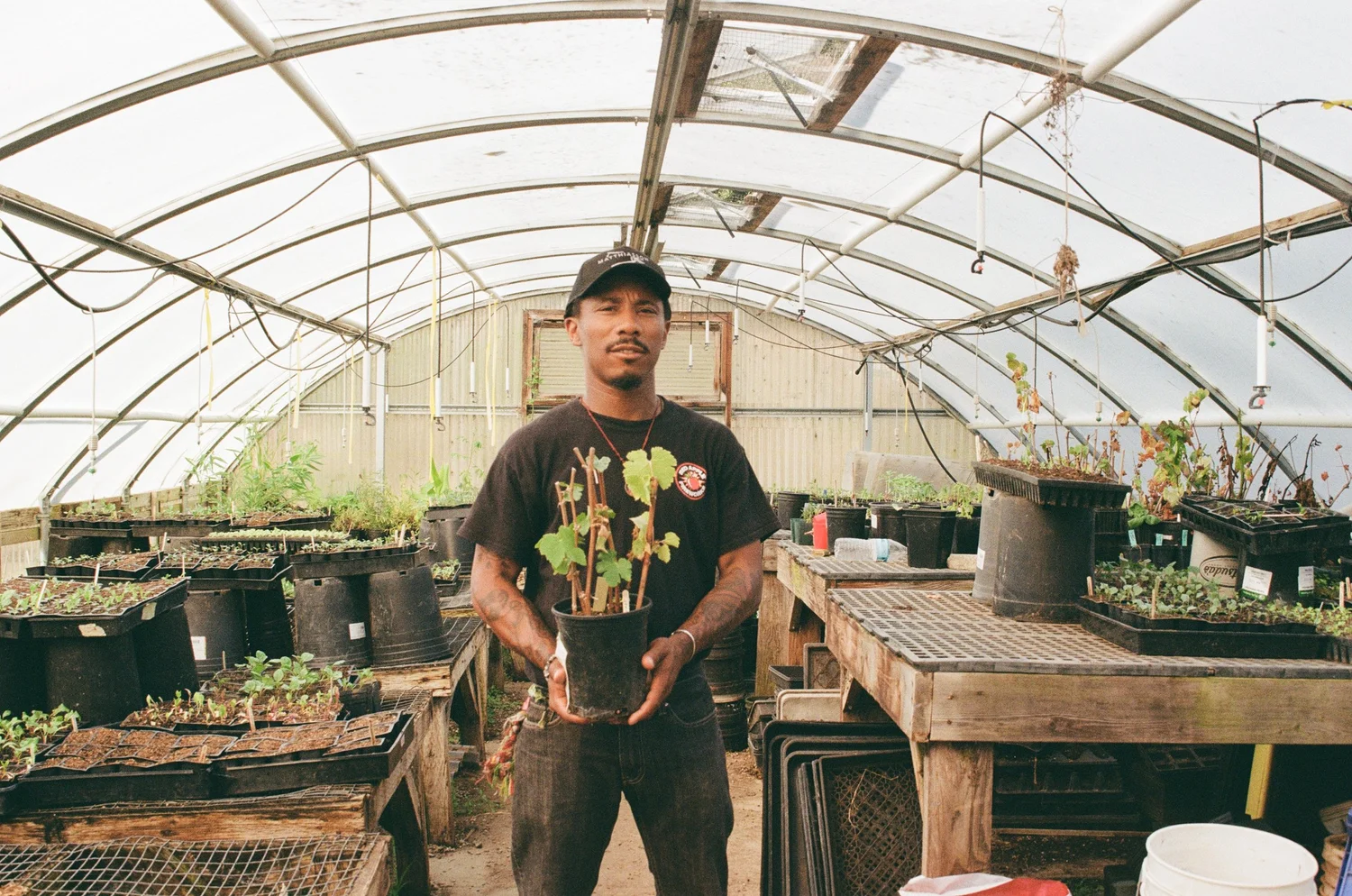 Christopher Renfro Bio — Wine Summit