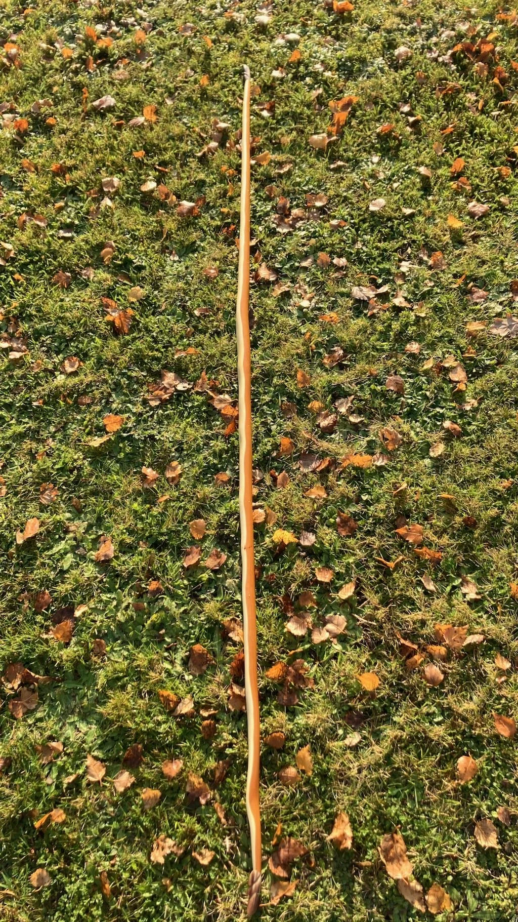 RedStringBows : English Longbows (Yew Self Bows)