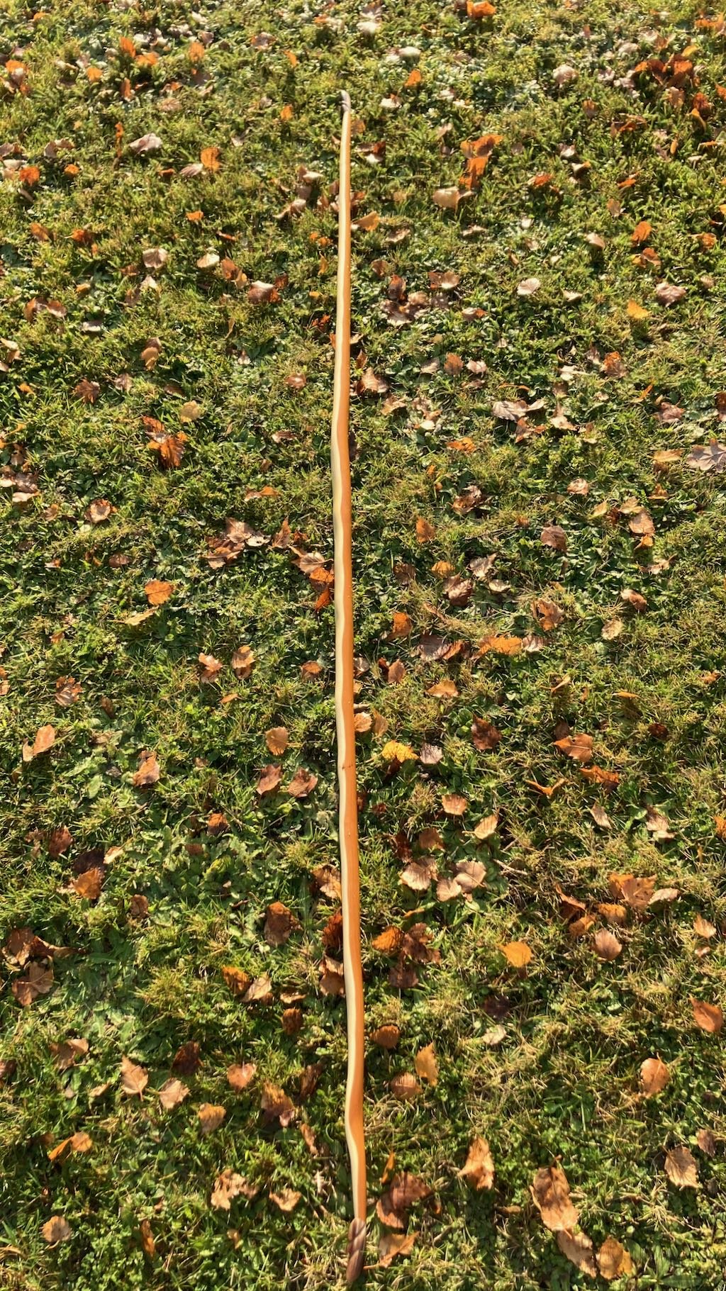 RedStringBows : English Longbows (Yew Self Bows)