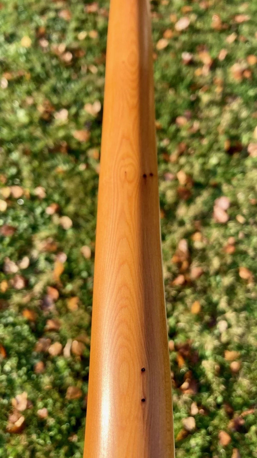 RedStringBows : English Longbows (Yew Self Bows)