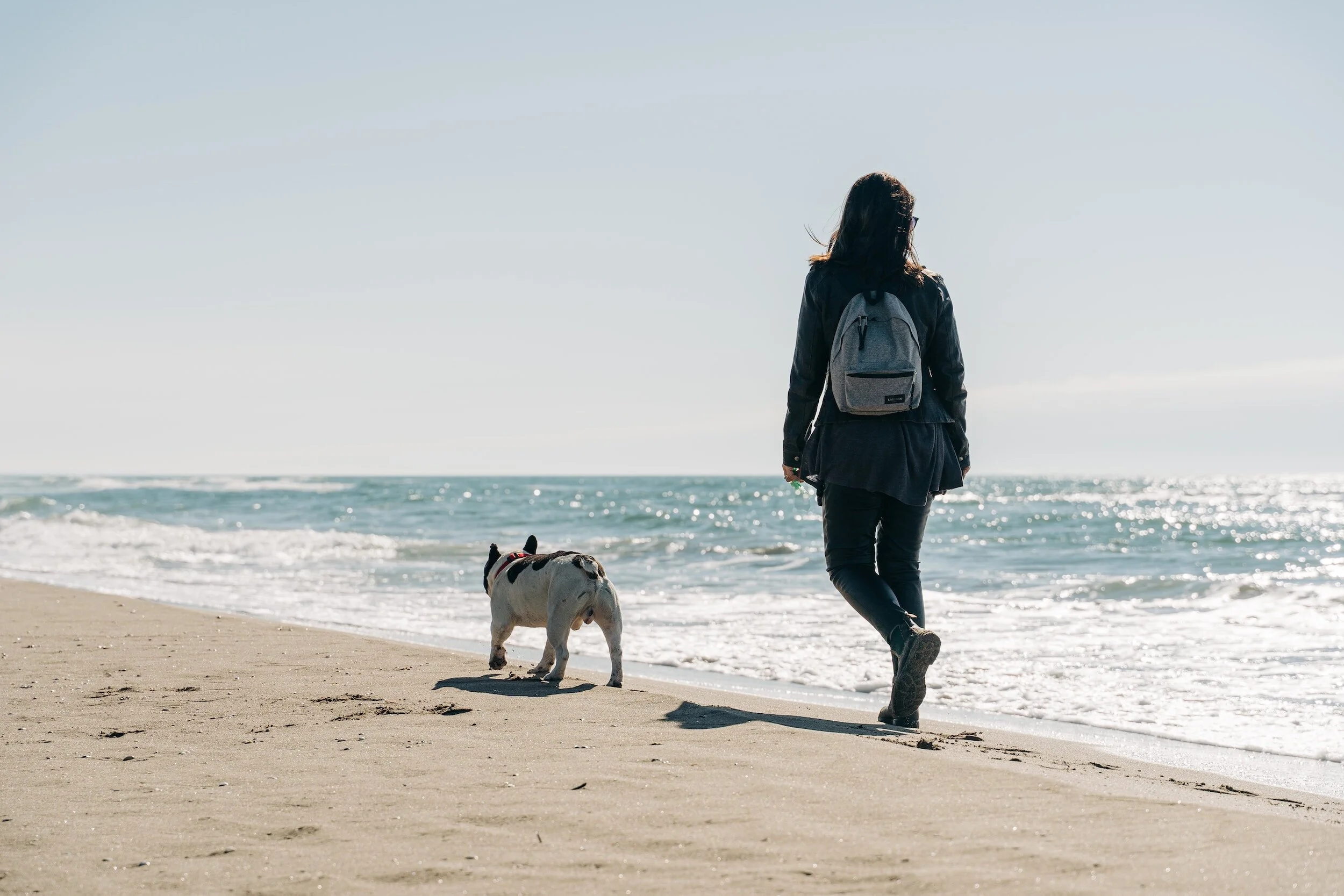 Obedience Training — Impactful Canine Training