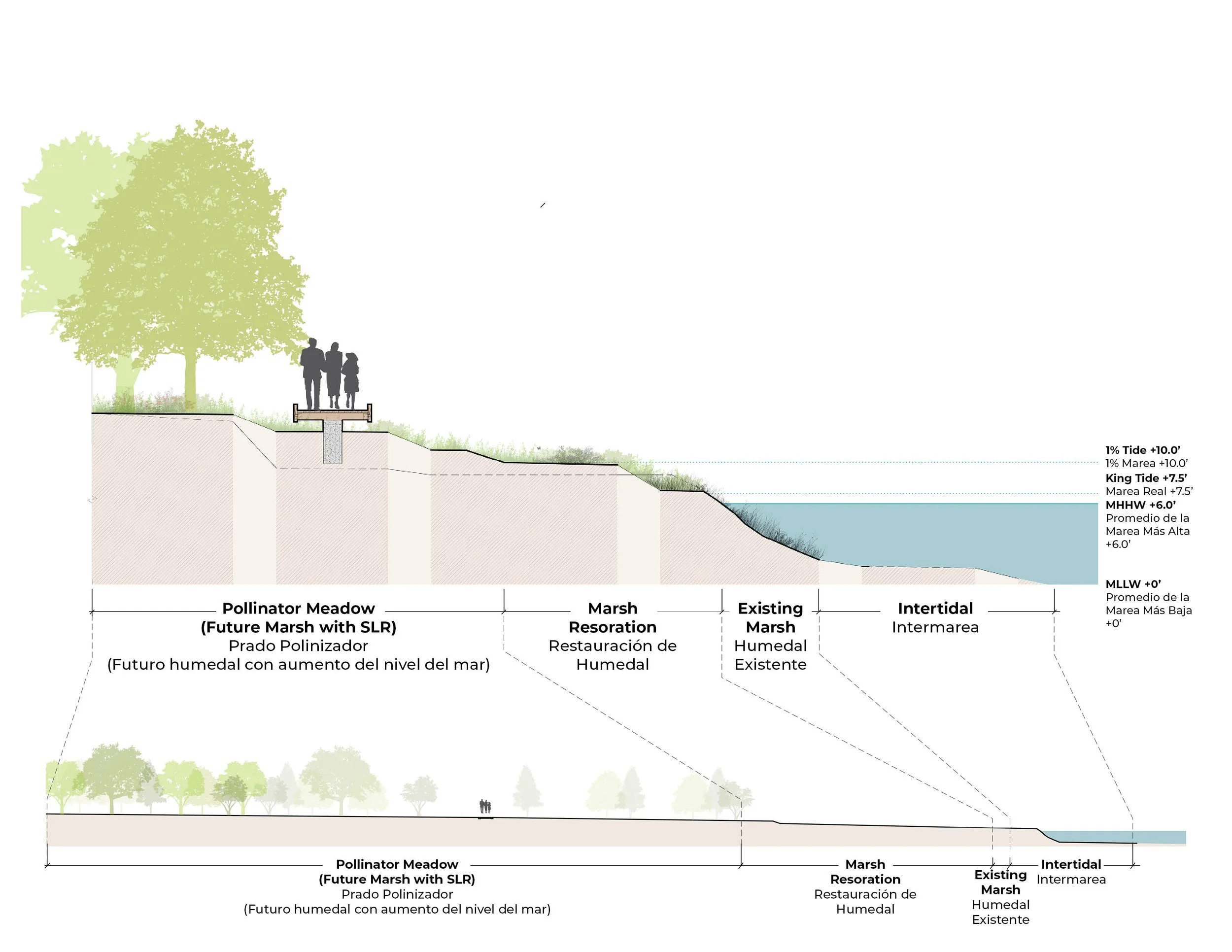 The Plan — Petaluma River Park