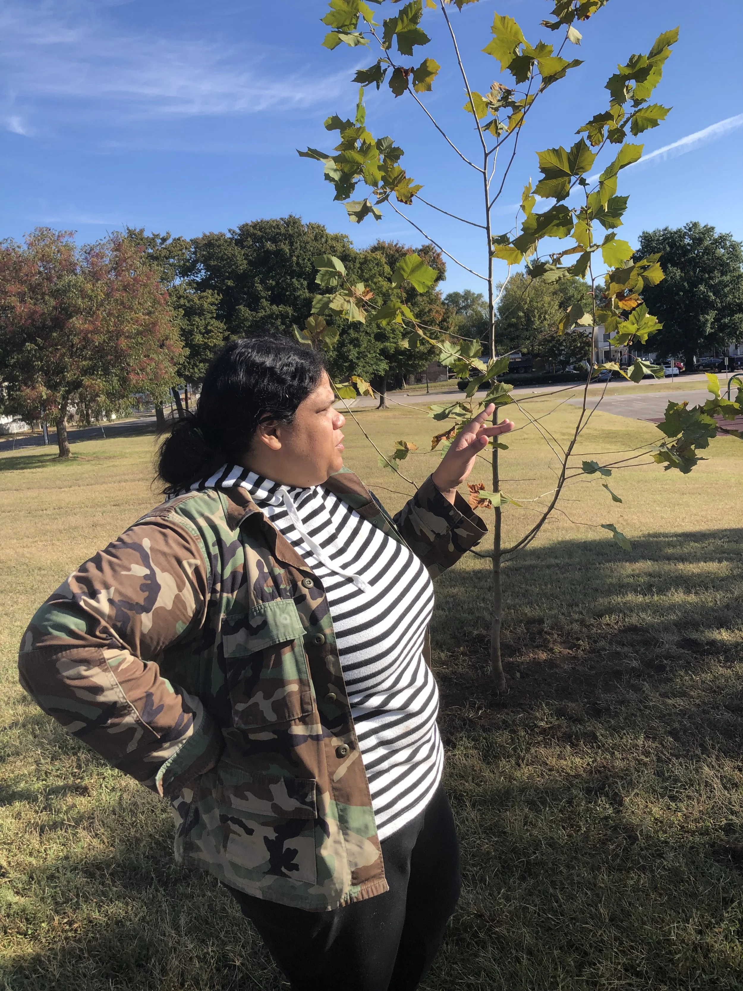 Greening Southside — Southside ReLeaf