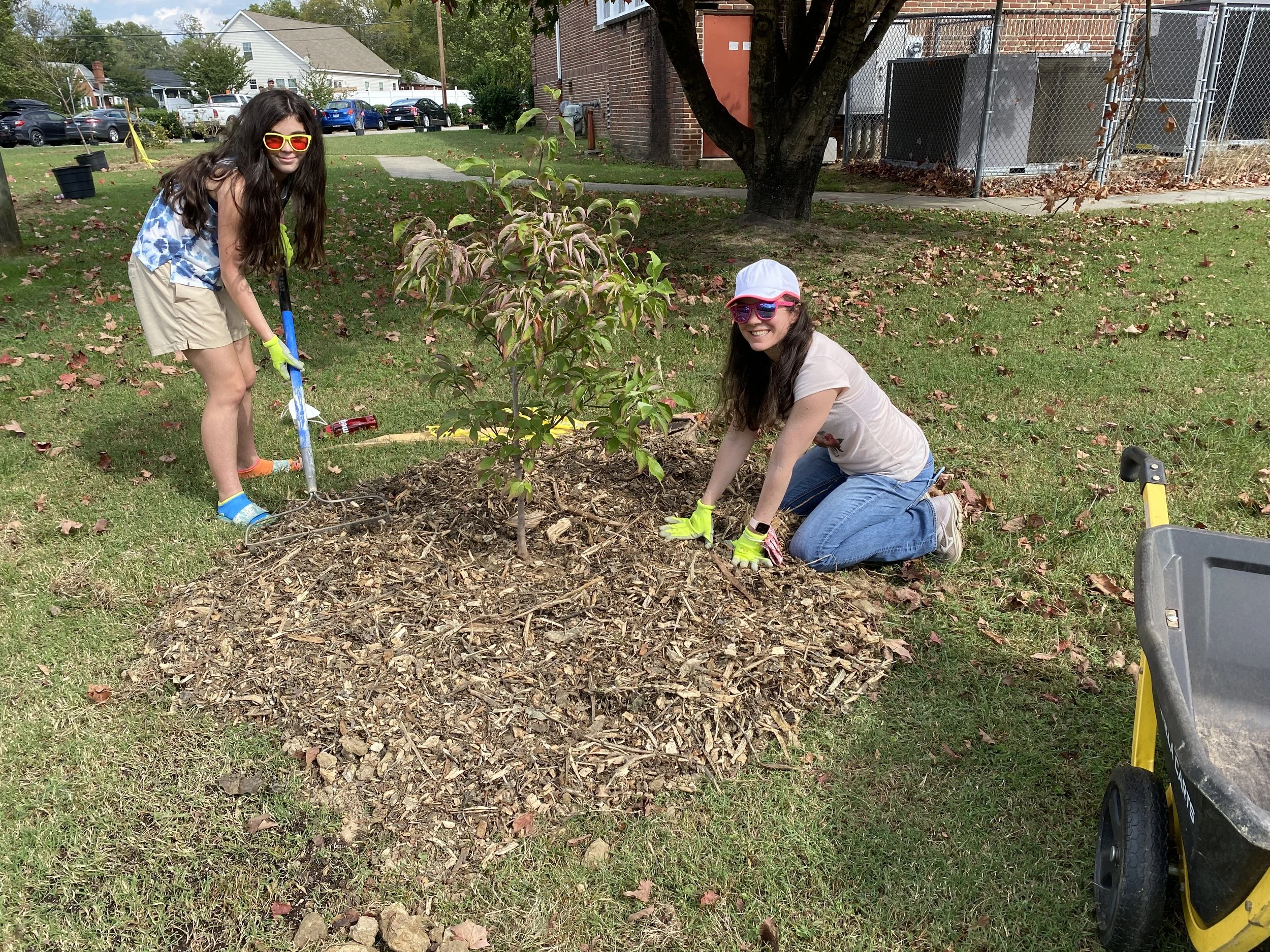 Greening Southside — Southside ReLeaf