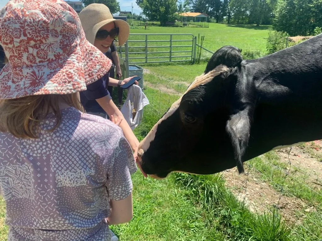 PEAK Animal Sanctuary