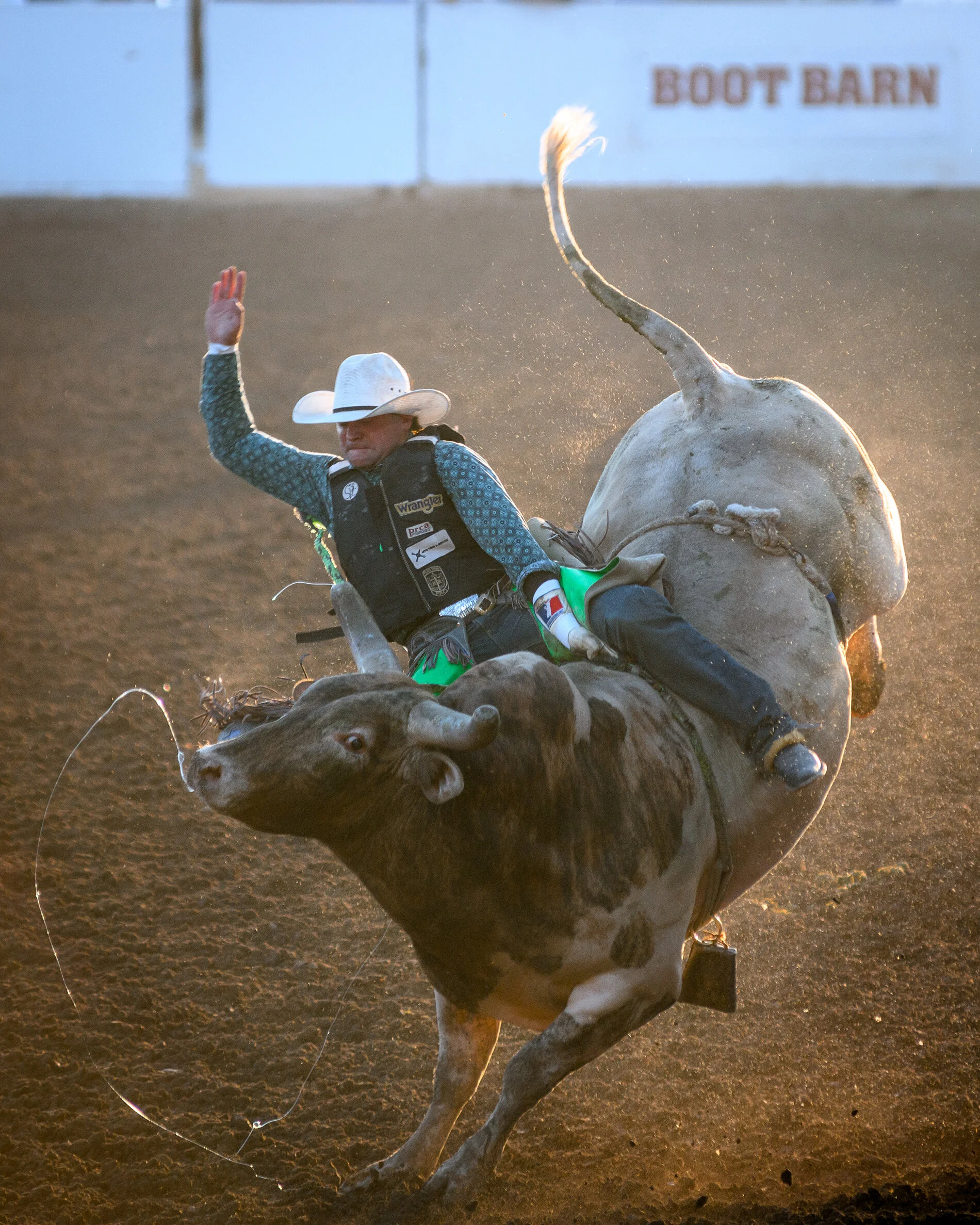 BlackFire Photography Cowboys, Horses, Bulls and Rodeo in the Pacific ...