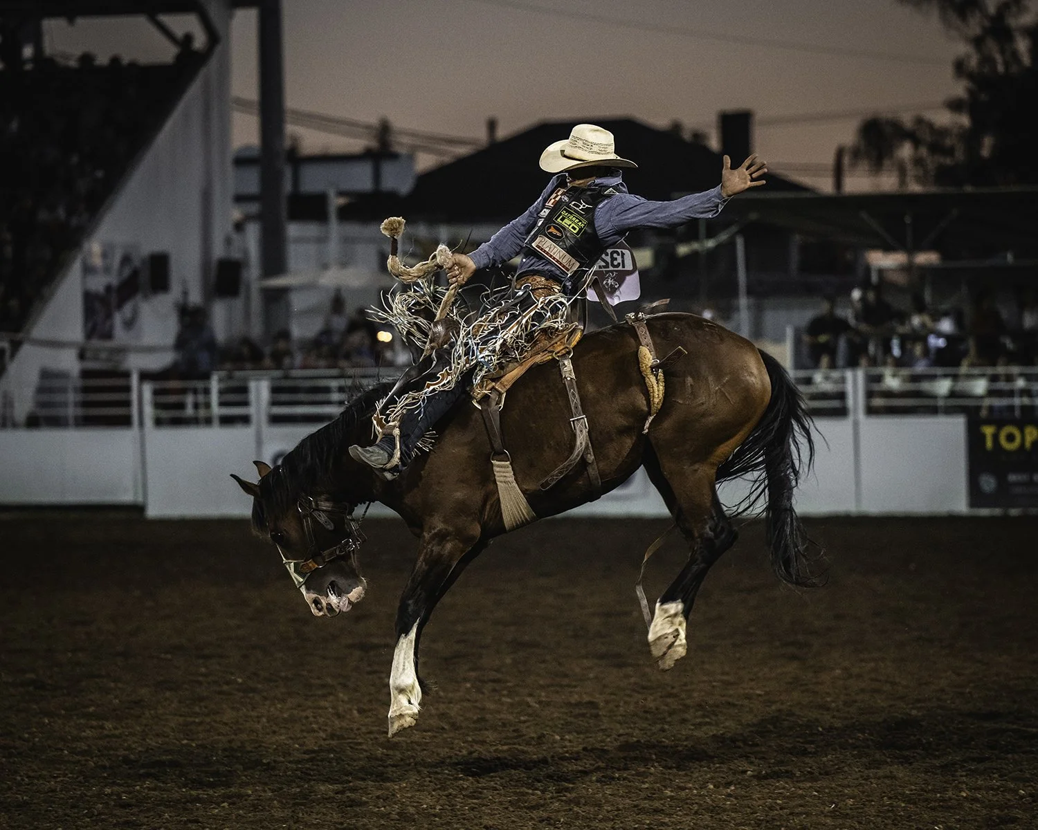 %Adrenaline Project X