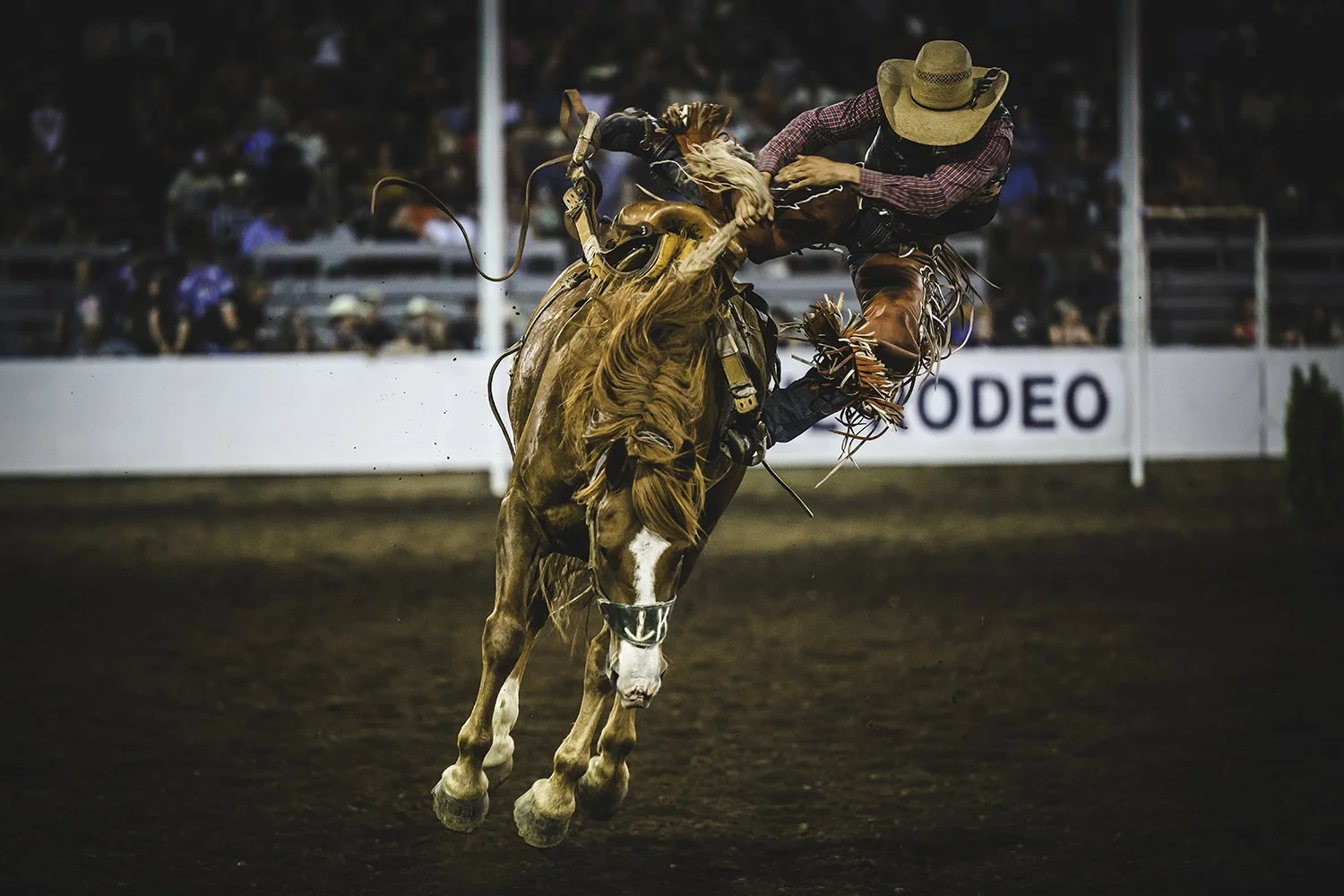 %Adrenaline Project X