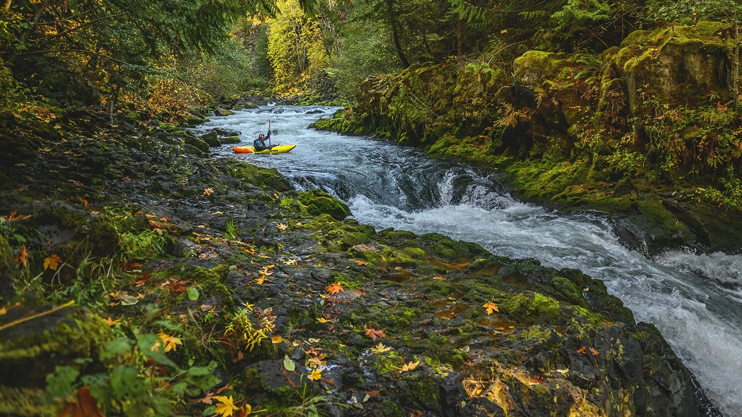 %Adrenaline Project X