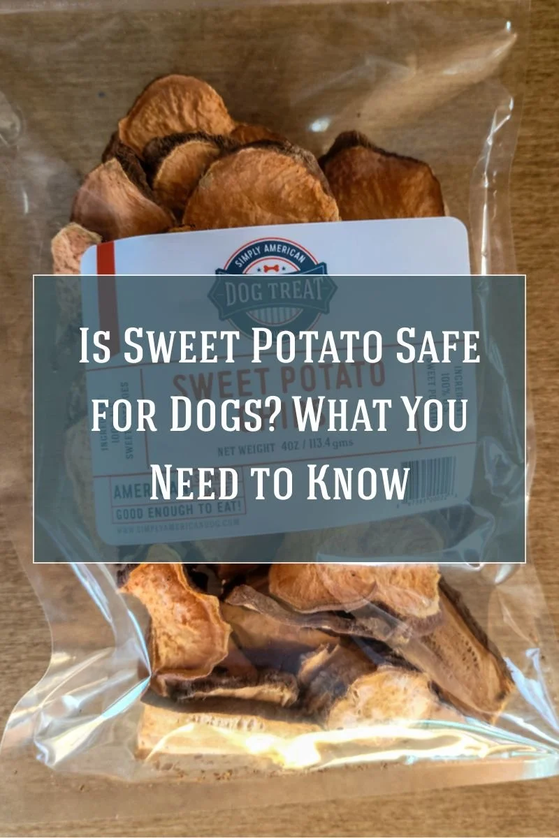 Is Sweet Potato Safe for Dogs? What You Need to Know — Simply American ...