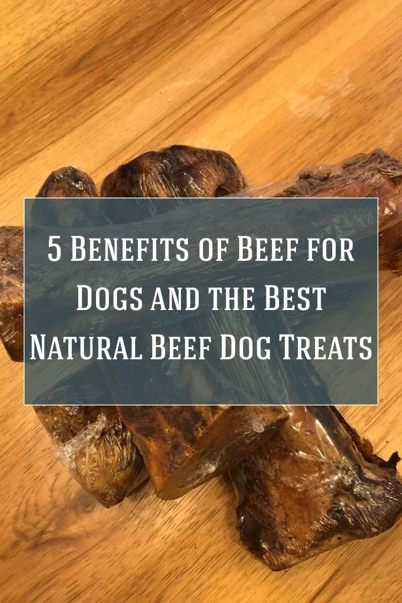 5 Benefits of Beef for Dogs and the Best Natural Beef Dog Treats ...