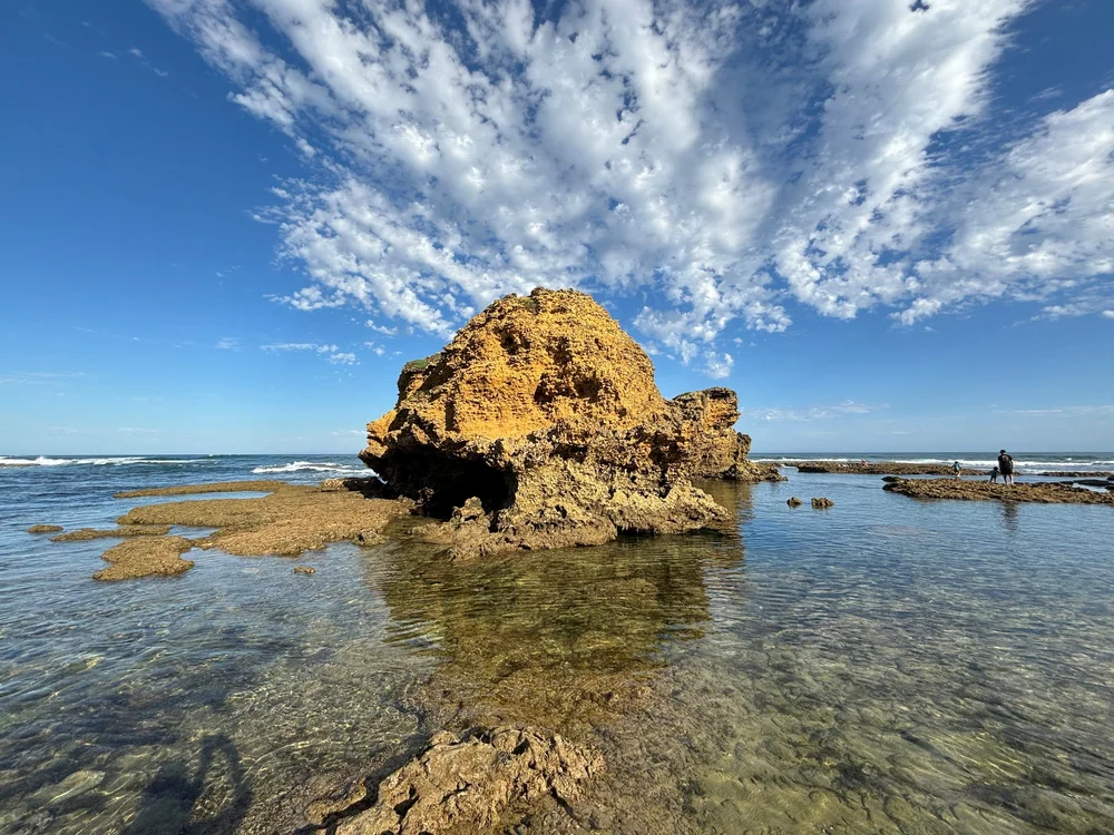 Play Therapy Surf Coast