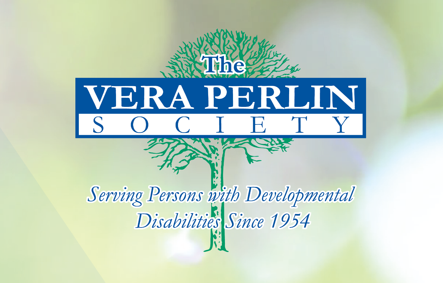 History — The Vera Perlin Society