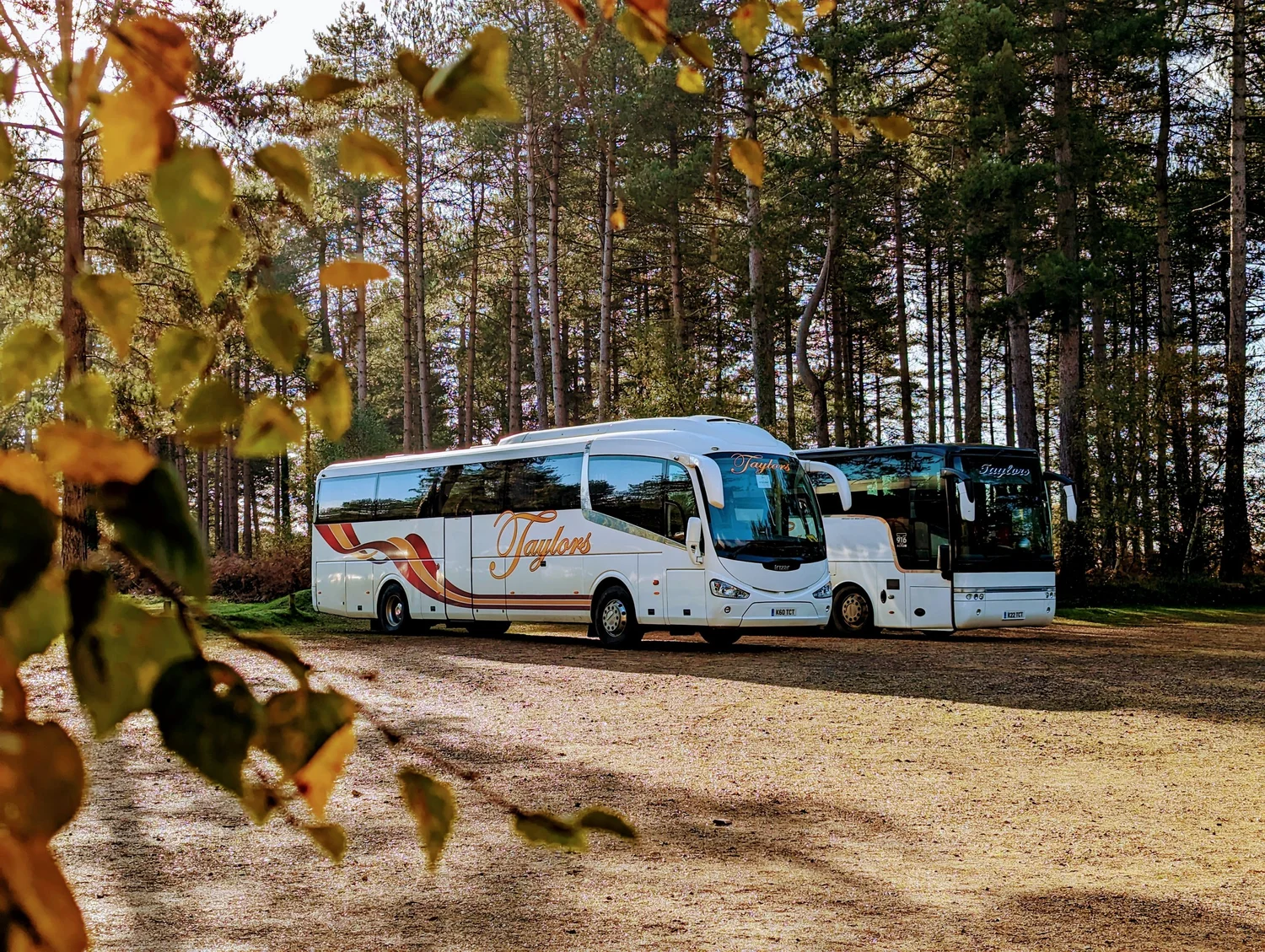 Taylors Coach Travel