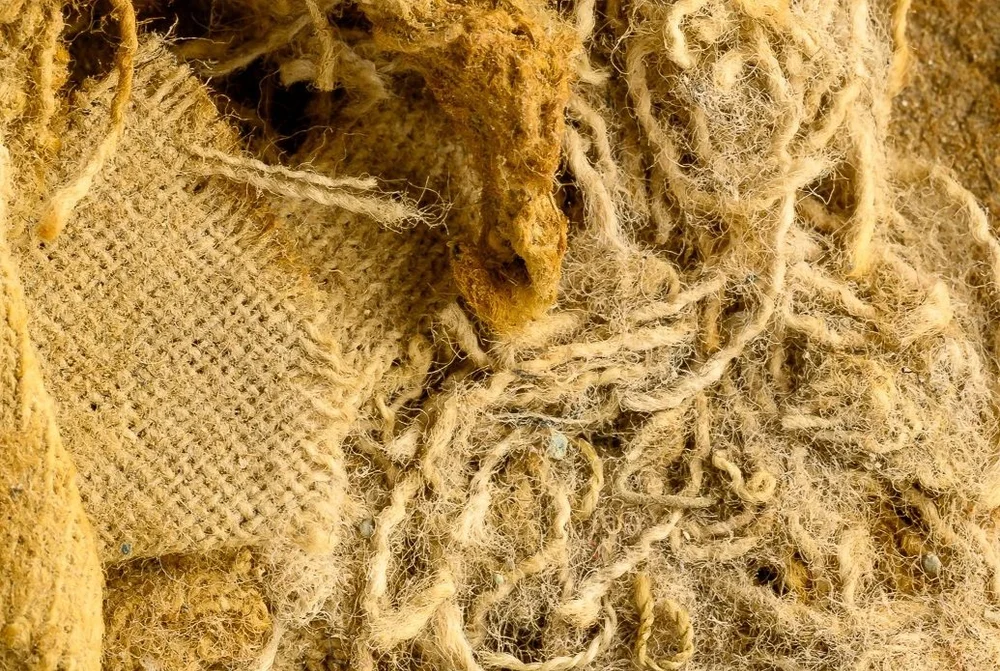 Our Solution — Rewin