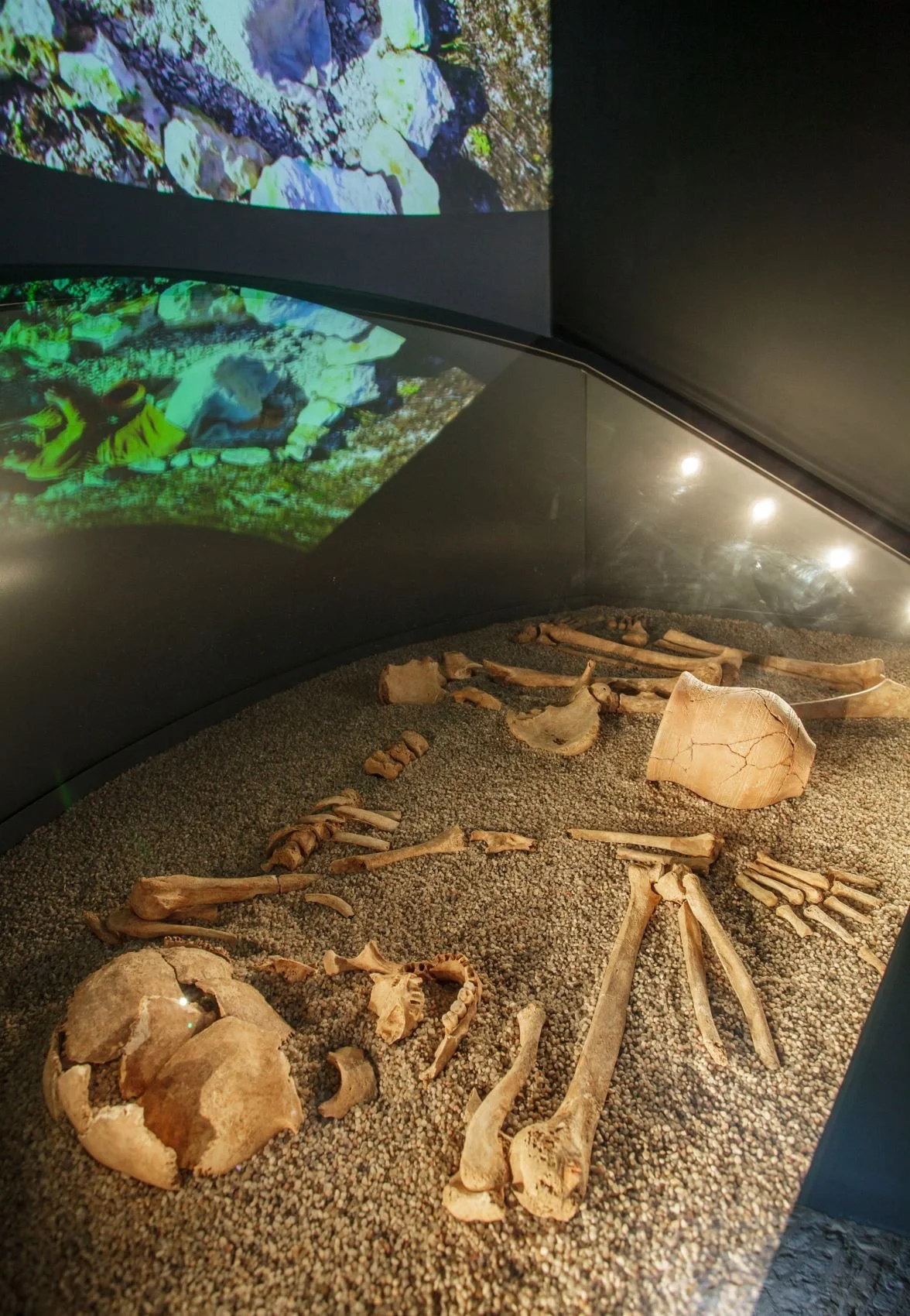 Support Us | Friends of Corinium Museum