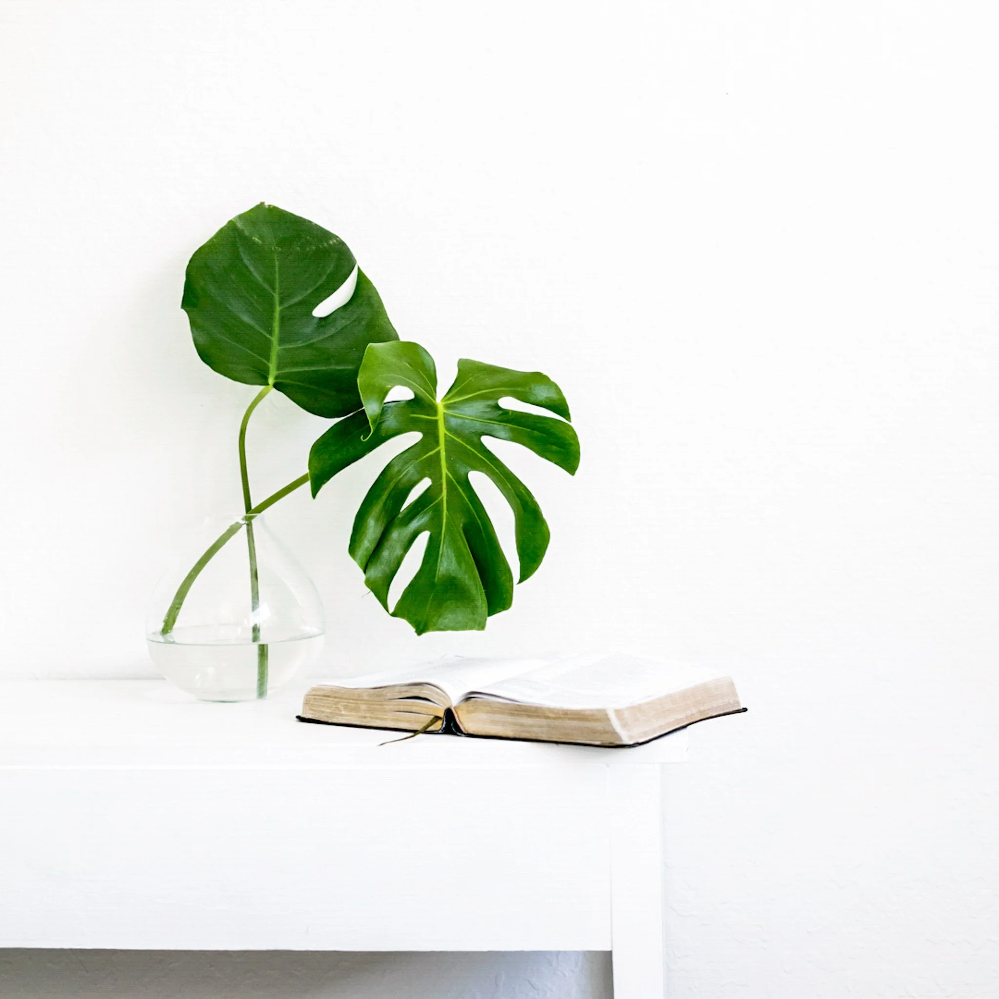 Faith & Gather: Empowering Christian Women in Business, Faith, and Life