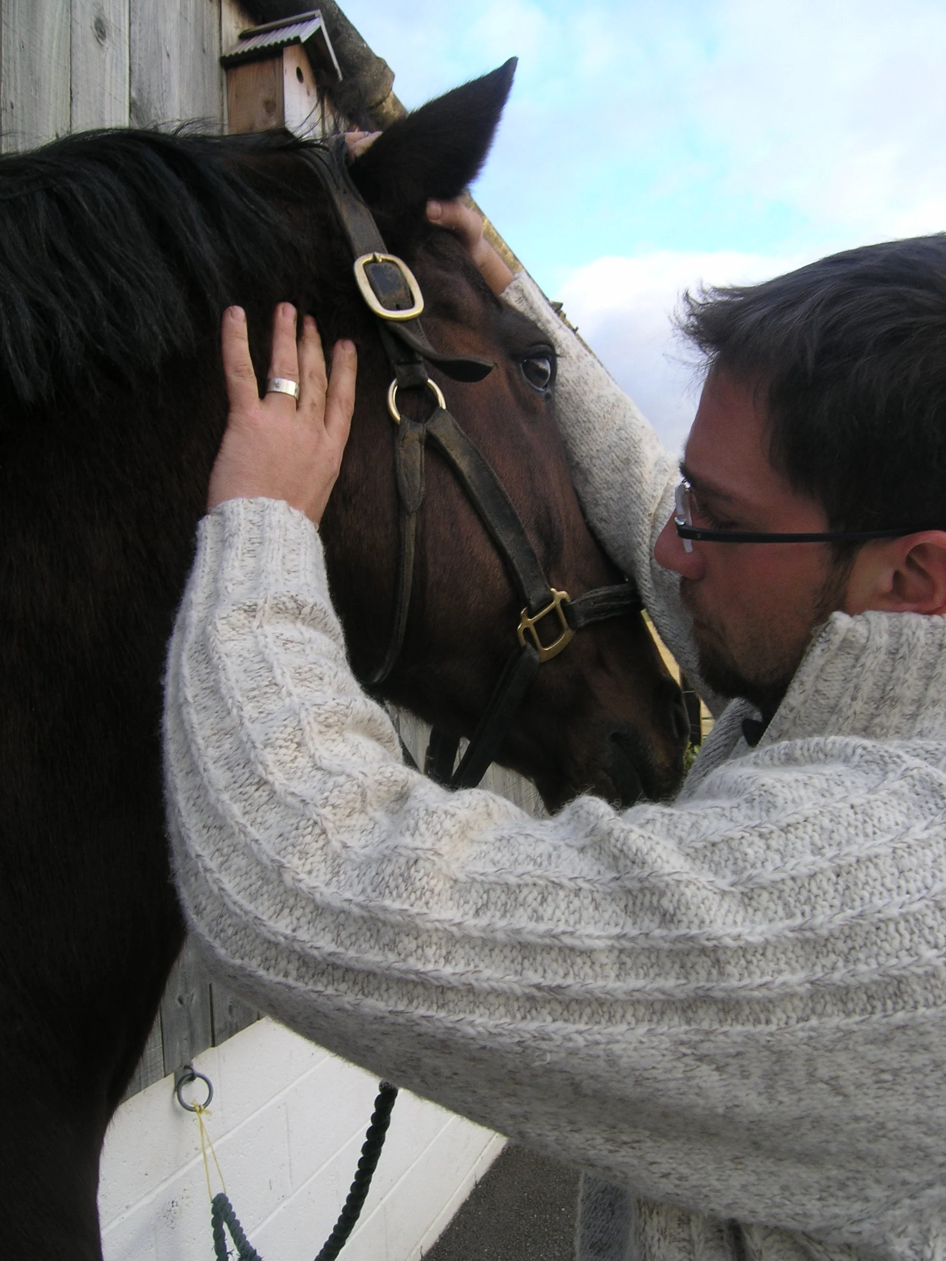 Animal Osteopathy — The Maple Tree Clinic