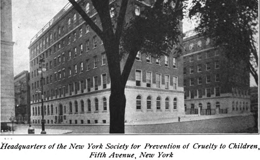 Domestic & Sexual Violence: A HISTORY OF ATTITUDES — Atria Collective